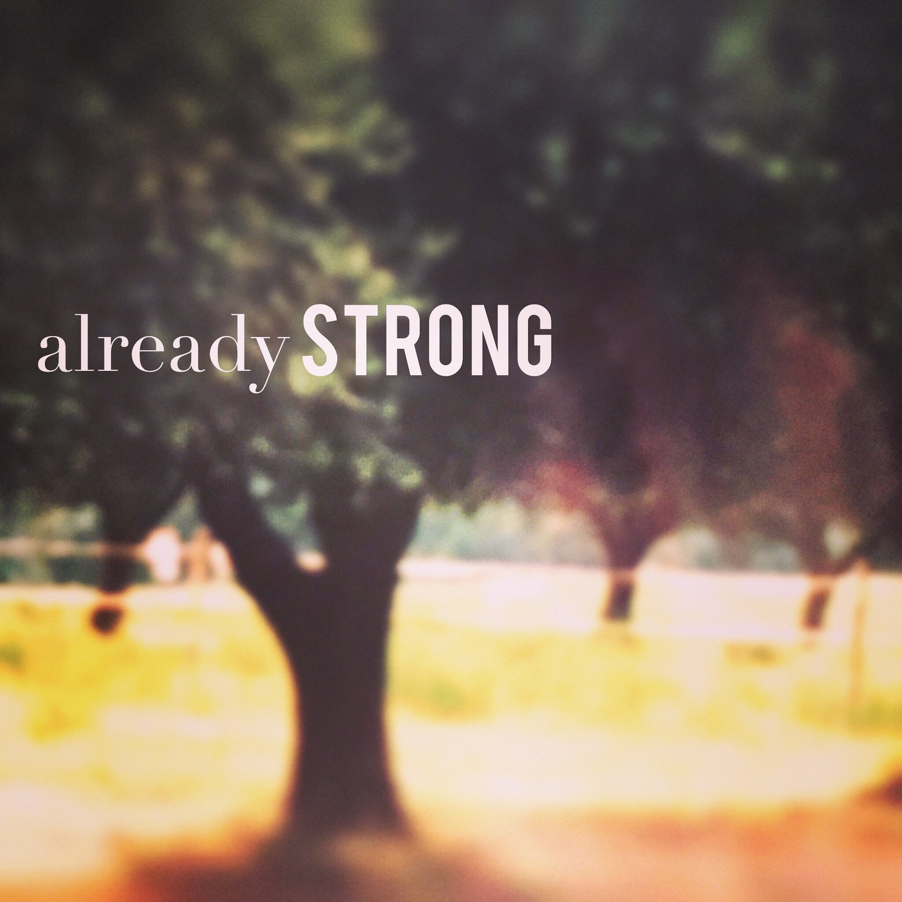 alreadySTRONG